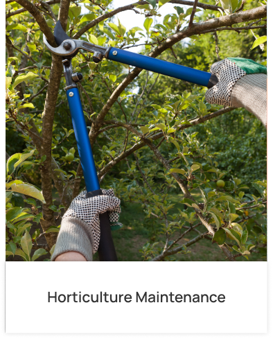 Services - Landscape Design & Maintenance Company Singapore | NZ Landscape